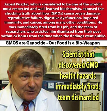 GMO SMEĆE UBIJA I MIŠEVE U EKSPERIMENTU | HOP